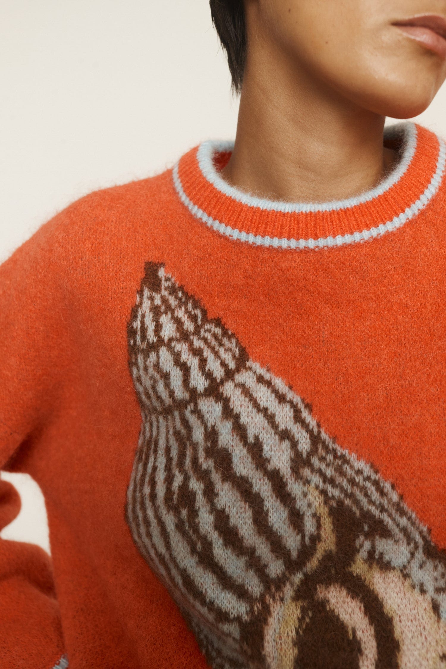 SEA STAR SHELL KNIT JUMPER – ALEMAIS US SEA STAR SHELL KNIT JUMPER – ALEMAIS US